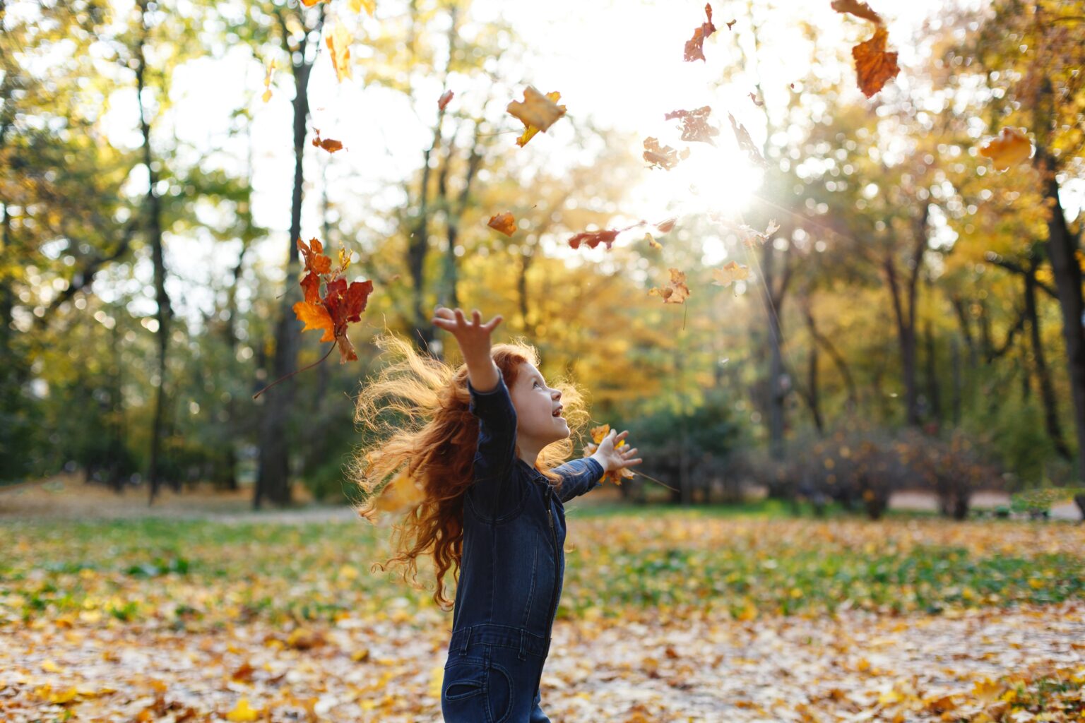 10 FANTASTIC Fall Activities For Kindergarteners - 2023 Guide ...