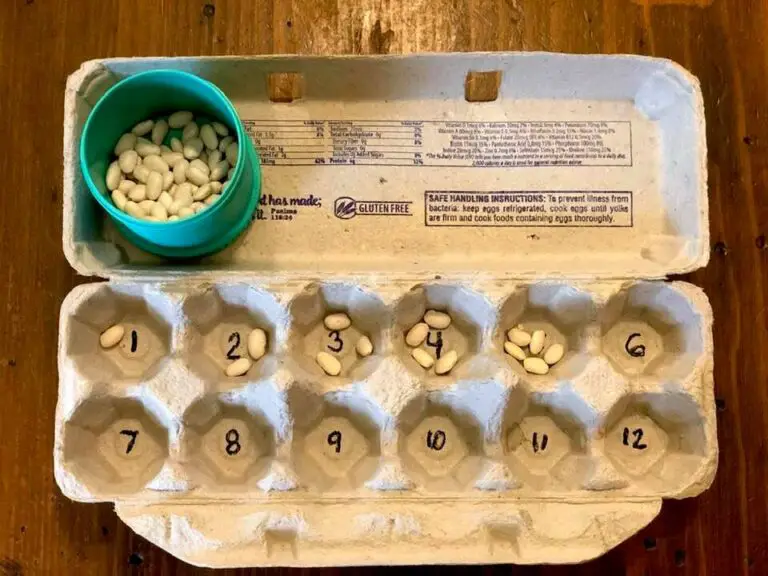 10 Fabulous Fine Motor Activities For Kindergarten – 2021 Guide ...