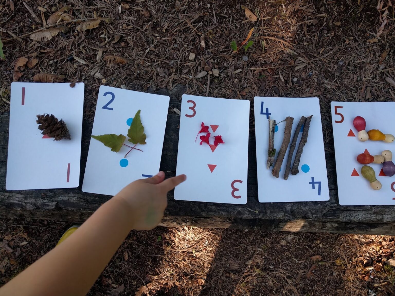Counting Activities For Kindergarten – 2021 Guide – Education Outside