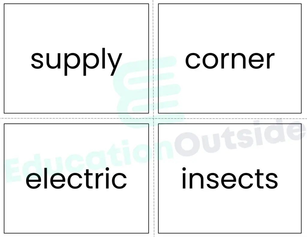 Fry's Ninth 100 Sight Words Flashcards (801-900) - 3 Sizes Included!