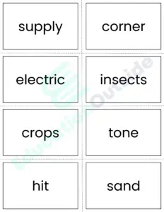 Fry's Ninth 100 Sight Words Flashcards (801-900) - 3 Sizes Included!