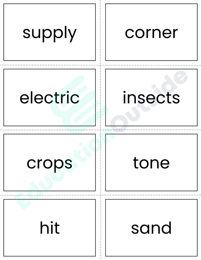 Fry's Ninth 100 Sight Words Flashcards (801-900) - 3 Sizes Included!