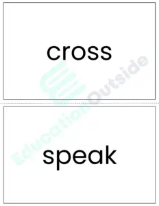 Fry's Seventh 100 Sight Words Flashcards (601-700) - 3 Sizes Included!