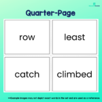 Fry's Tenth 100 Sight Words Flashcards (901-1000) - 3 Sizes Included!