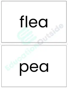 Long e Vowel Teams Flashcards - 3 Sizes Included - No Prep!