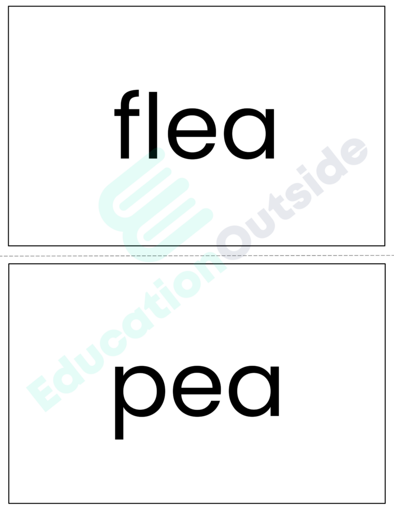 Long e Vowel Teams Flashcards - 3 Sizes Included - No Prep!