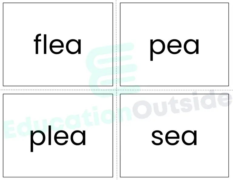 Long e Vowel Teams Flashcards - 3 Sizes Included - No Prep!