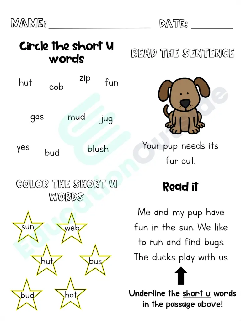 Short Vowel u Worksheets - No Prep - Print and Practice
