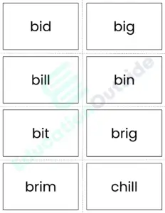Short Vowel Word Family Flashcard Packet - 3 Sizes Included!