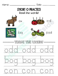 Short & Long o Worksheet Packet - 20 Worksheets Included!