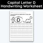 Capital Letter D - Tracing Worksheet - 3 Pack