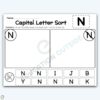 Capital Letter N - Cut, Paste, & Sort The Letters Worksheet