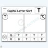 Capital Letter T - Cut, Paste, & Sort The Letters Worksheet