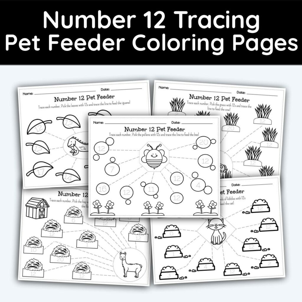 Number 12 Worksheets: Writing, Counting & Recognition for Preschool