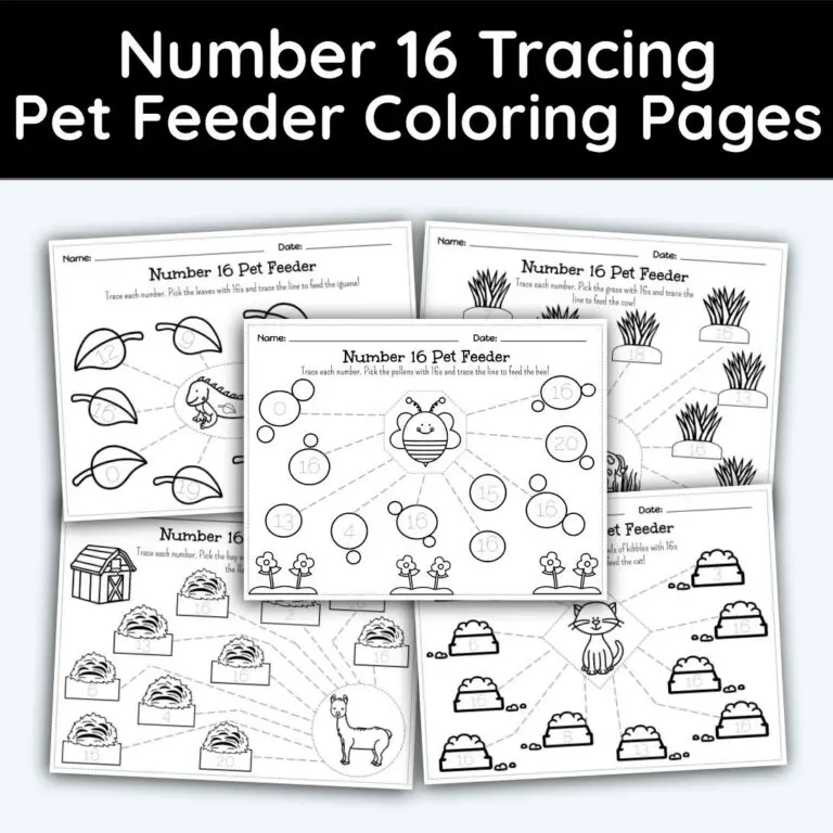 Number 16 Worksheets: Writing, Counting & Recognition for Preschool