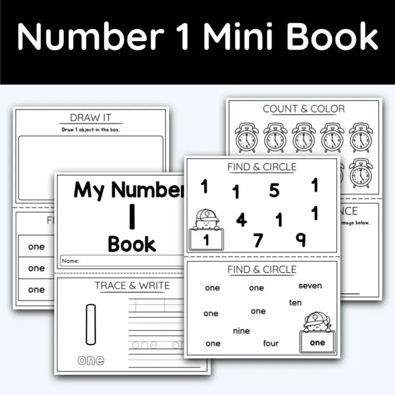 Number 1 Mini Book