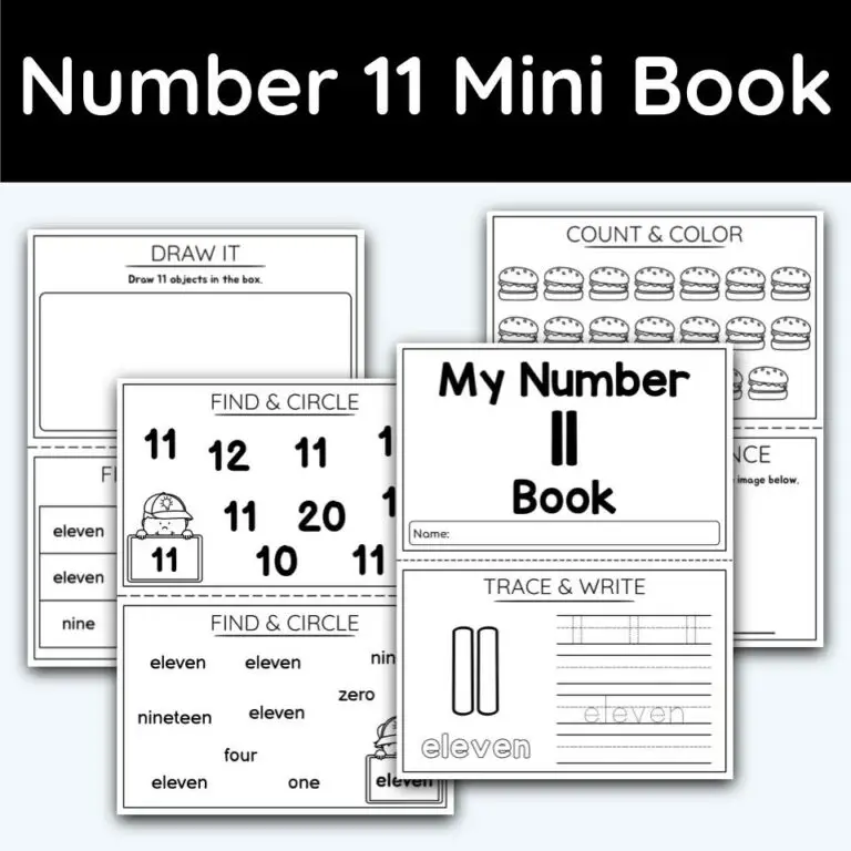 Number 11 Mini Book