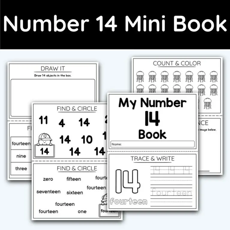 Number 14 Mini Book
