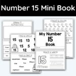 Number 15 Mini Book