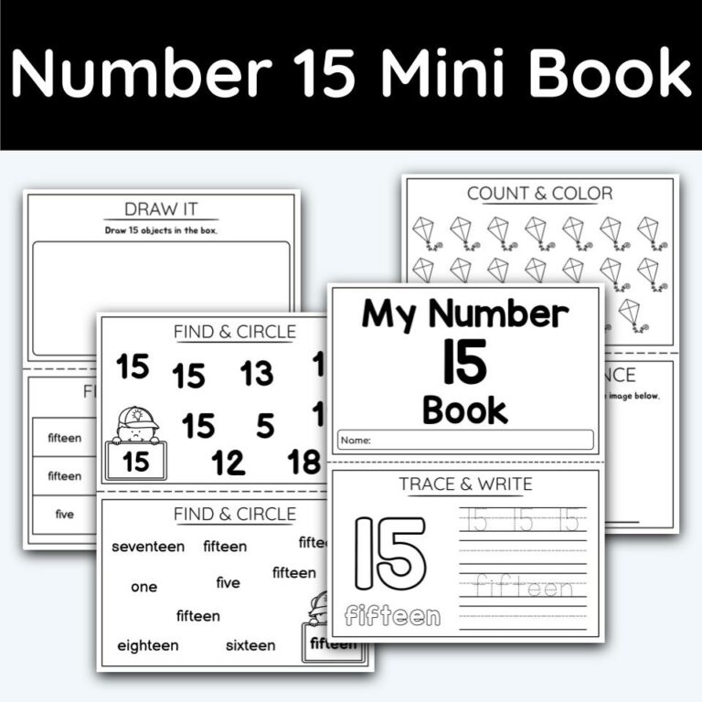 Number 15 Mini Book