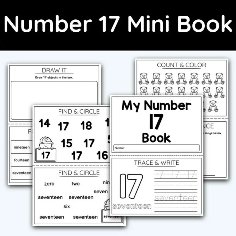 Number 17 Mini Book