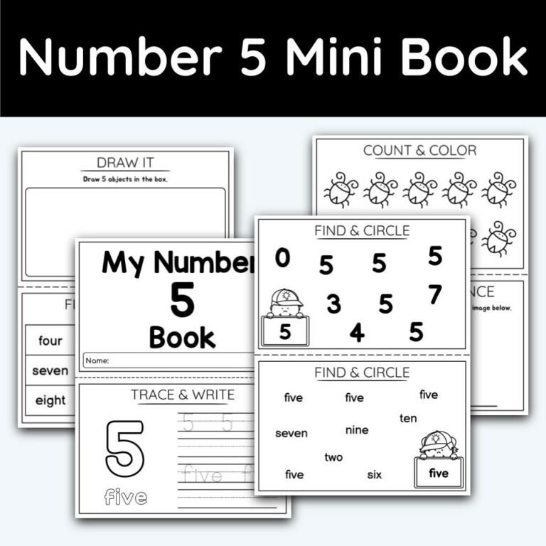 Number 5 Mini Book