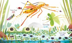 10 Captivating Bug Books For Preschoolers - Education Outside