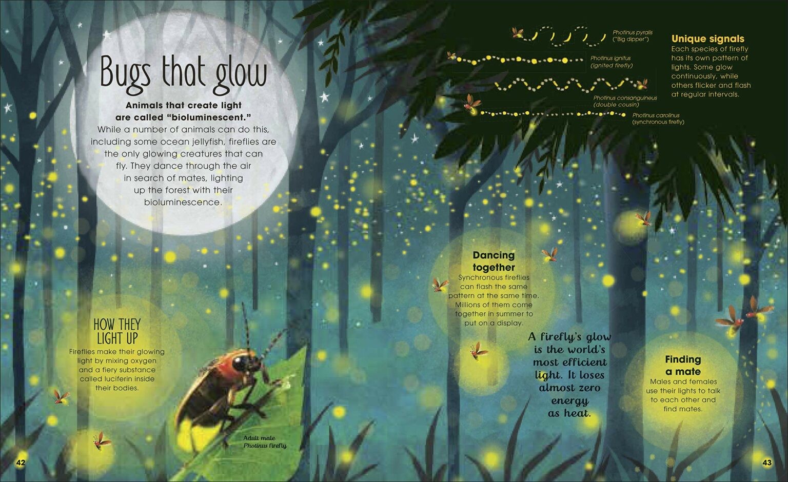 10 Captivating Bug Books For Preschoolers - Education Outside