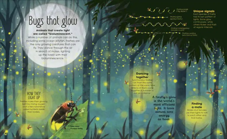 10 Captivating Bug Books For Preschoolers - Education Outside
