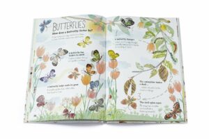 10 Captivating Bug Books For Preschoolers - Education Outside