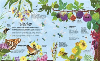 10 Captivating Bug Books For Preschoolers - Education Outside