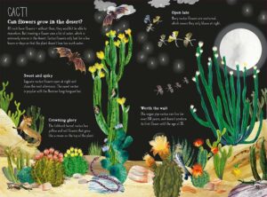 10 Lovely Preschool Books About Flowers - Education Outside