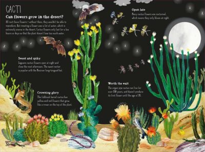 10 Lovely Preschool Books About Flowers - Education Outside