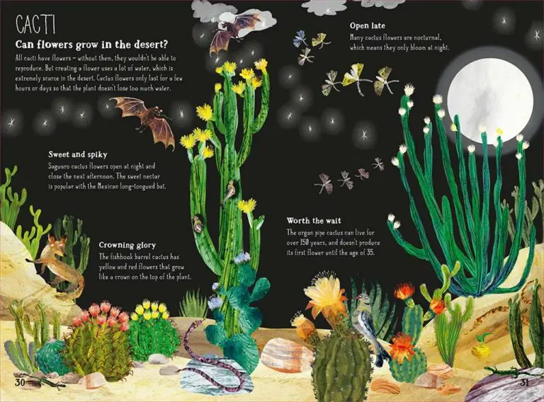10 Lovely Preschool Books About Flowers - Education Outside