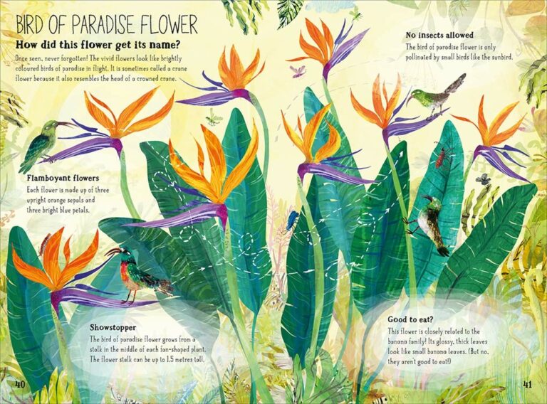 10 Lovely Preschool Books About Flowers - Education Outside