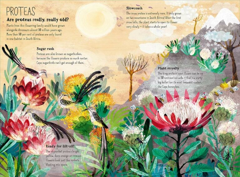 10 Lovely Preschool Books About Flowers - Education Outside