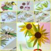 11 Artful Sunflower Crafts for Preschool Activities - Education Outside