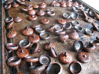 10 Acorn Preschool Crafts for the Best Fall Ever - Education Outside