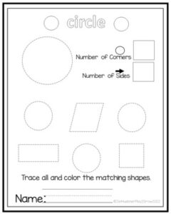 5 Comprehensive Circle Worksheet Sets for Preschoolers - Education Outside