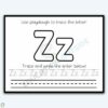 10 Letter Z Crafts and Activities for Preschoolers to Learn with Zest ...