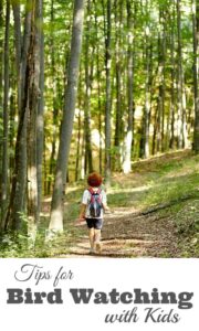 10 Fun and Feathery Bird Activities for Preschool - Education Outside