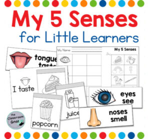 10 Engaging 5 Senses Worksheets for Preschool - Education Outside
