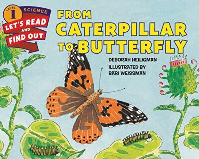 10 Superb Preschool Books About Butterflies - Education Outside