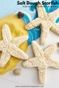 10 Stellar Preschool Starfish Crafts Activities - Education Outside