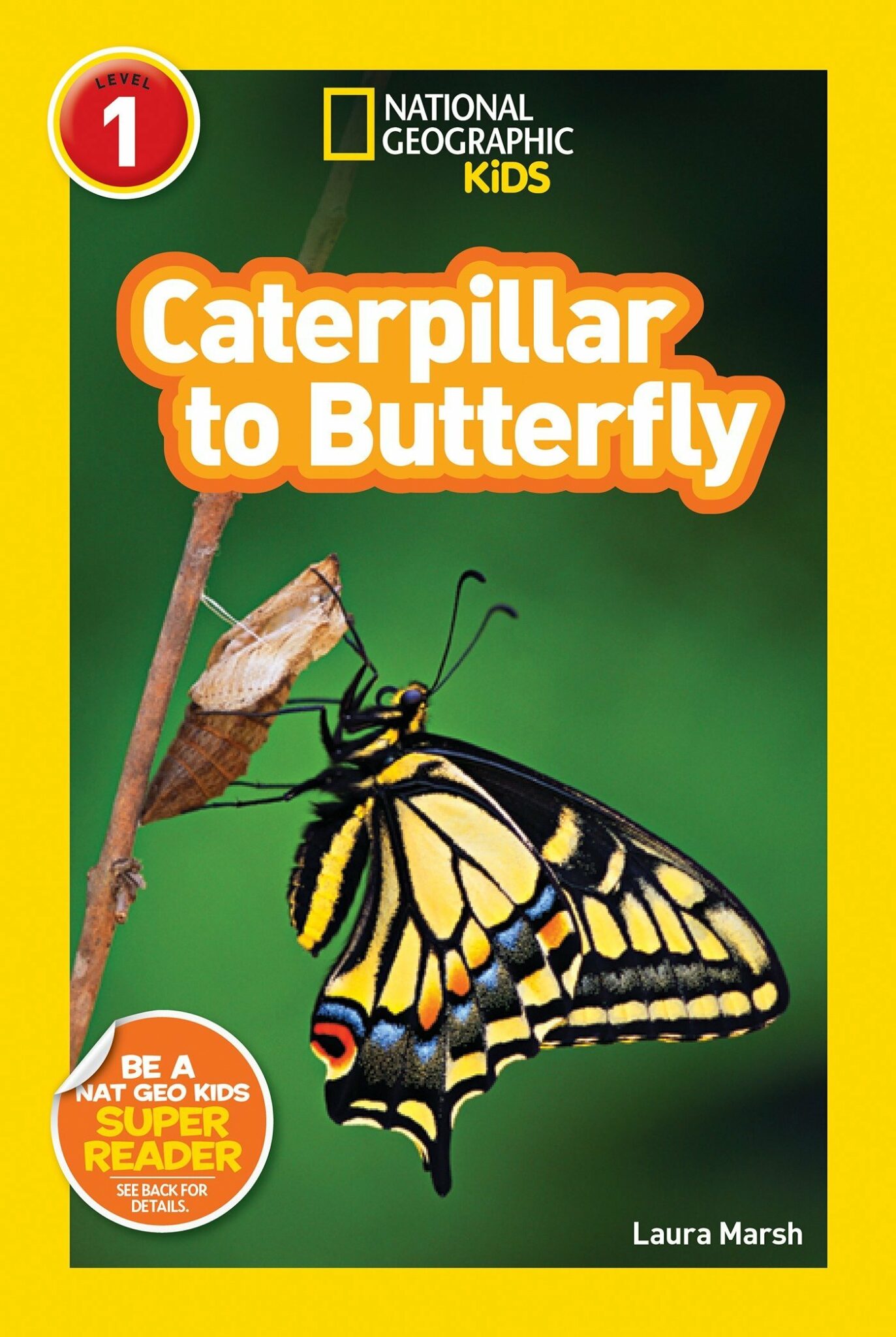 10 Superb Preschool Books About Butterflies - Education Outside