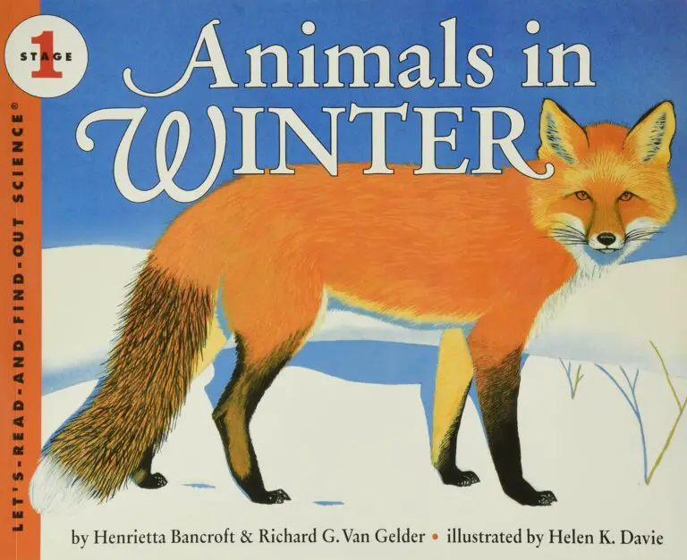 10 Hibernation Books for Preschoolers Activities - Delightful and ...