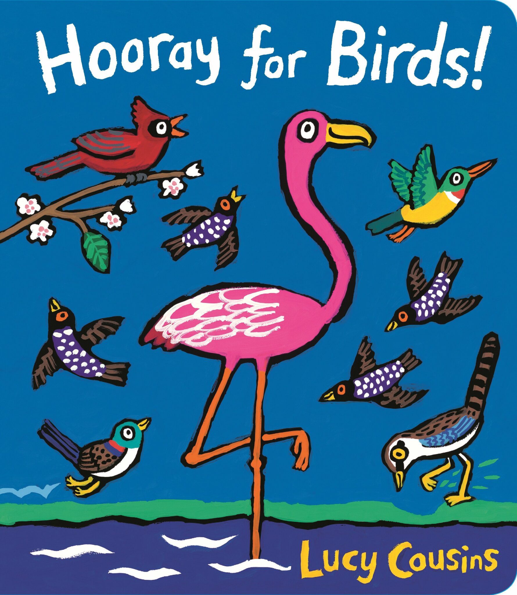 10 Captivating Bird Books for Preschoolers - Education Outside