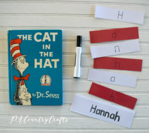10 Engaging Cat in the Hat Activities for Preschool - Education Outside
