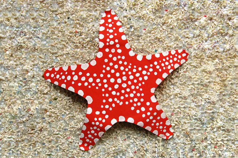 10 Stellar Preschool Starfish Crafts Activities - Education Outside