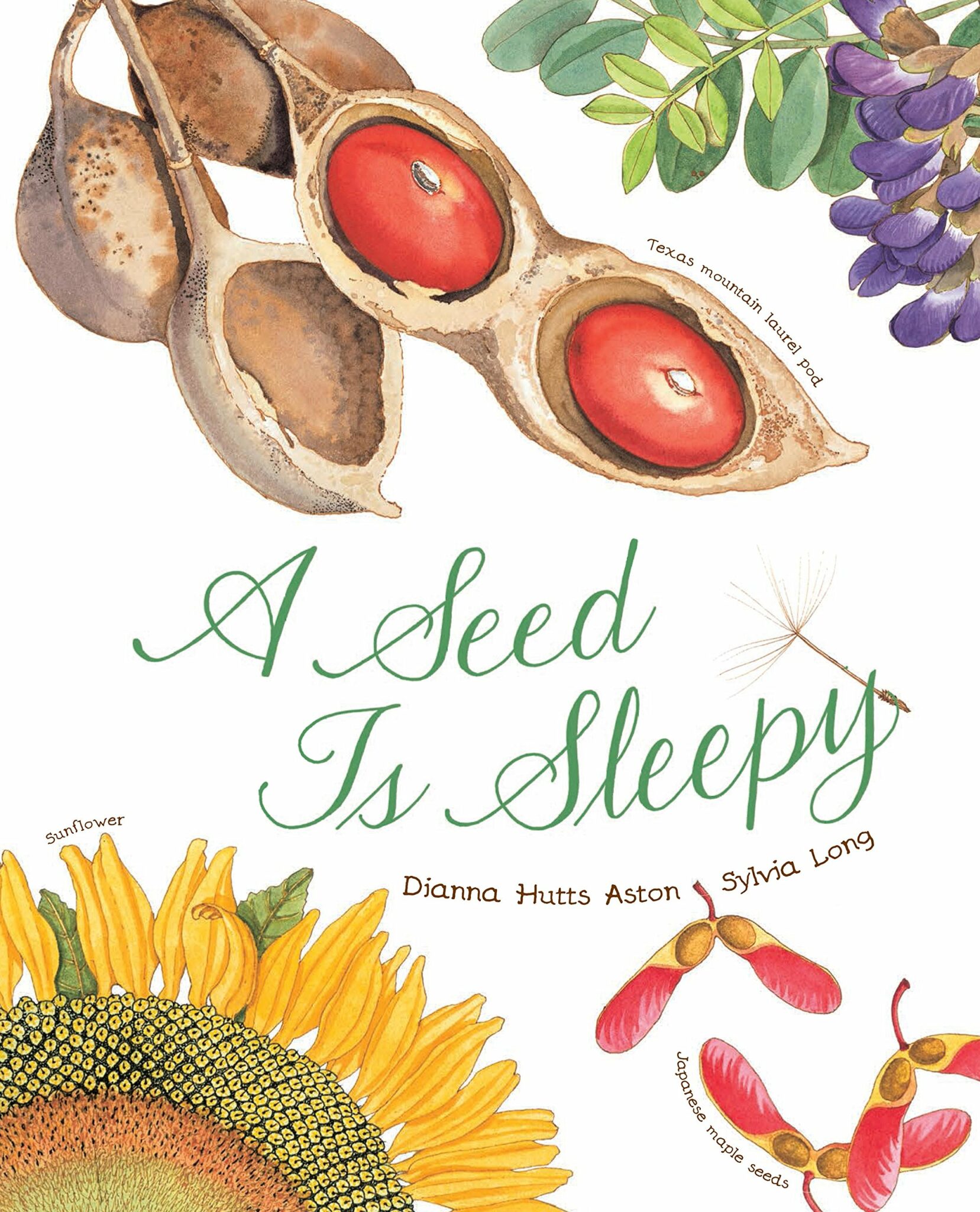 10 Inspiring Books About Plants for Preschoolers - Education Outside